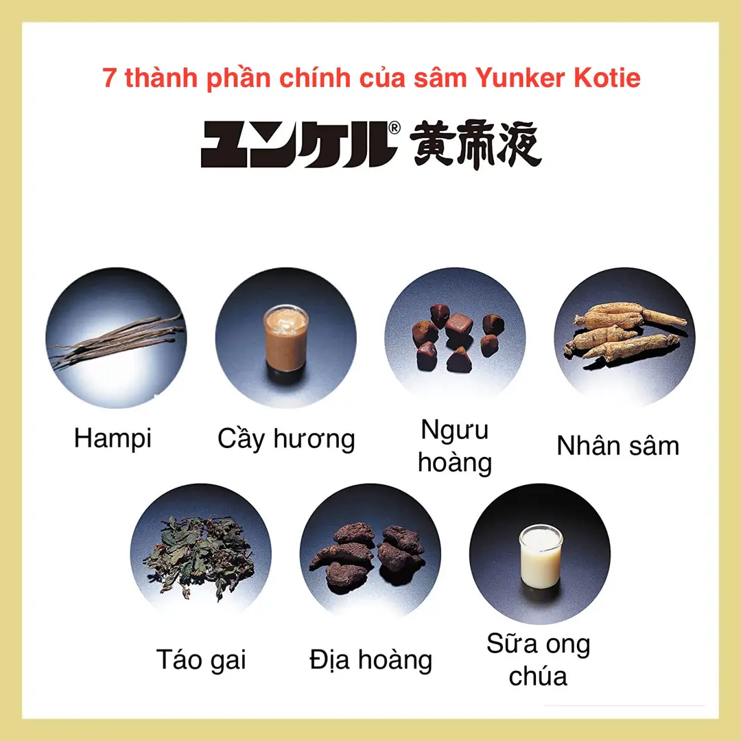 Sâm Nhật Sato Yunker Kotei: thuốc bổ dành cho hoàng đế thời xưa